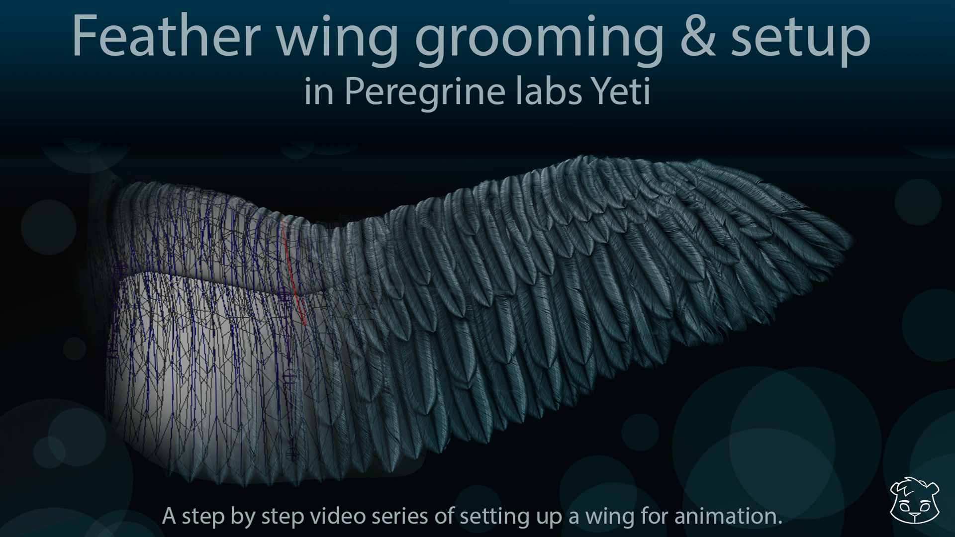 Yeti tutorials | Bjørn Blaabjerg